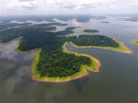 La D Couverte Du Tr Sor Vert De L Afrique De L Ouest Le Parc