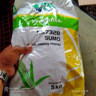 Jual BIBIT JAGUNG NK SUMO 7328 5KG Syngenta ORI 100 Shopee Indonesia
