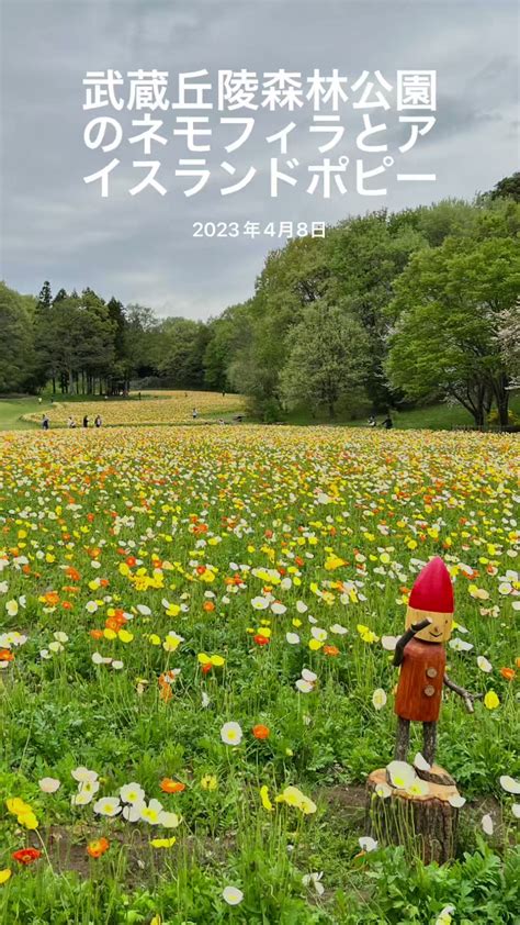 ダー岩井のツーリング写真館 on Twitter 2023 4 8 埼玉県滑川町 武蔵丘陵森林公園 森林公園が春爛漫中央口を開園