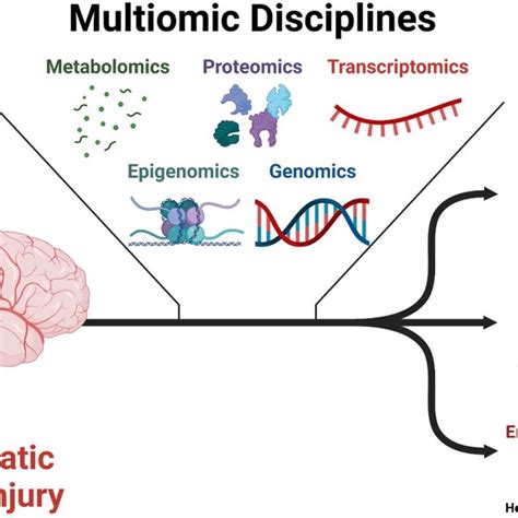 Schematic Representation Of Multiomics Encompassing Metabolomics