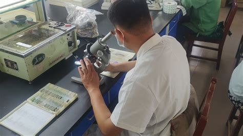 Human Histology Slides Connective Tissue Microscope Prepared Slides