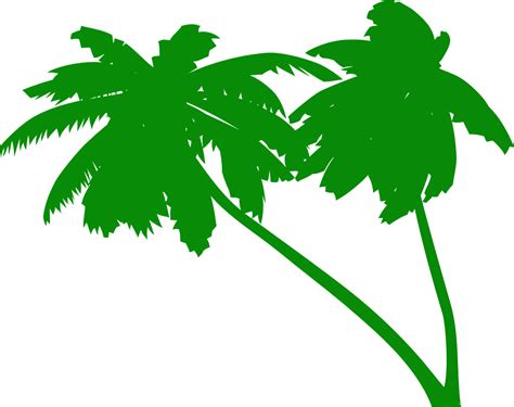Coqueiro Vetor Png Also Find More Png Clipart About Null