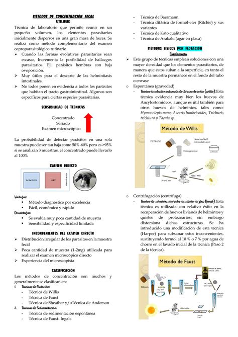 SOLUTION Parasitolog A M Todos De Concentraci N Fecal Studypool
