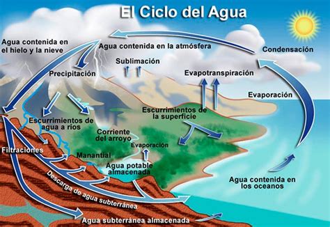 Los Ciclos Biogeoquímicos qué son tipos y cuál es su importancia