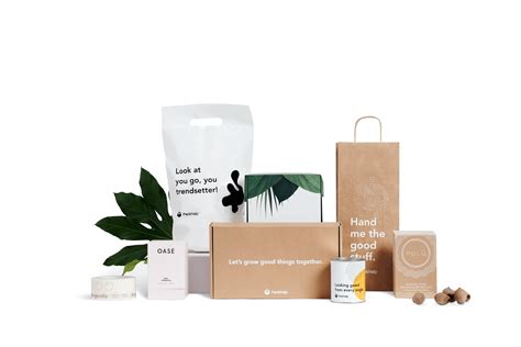 Ecodiseño qué es ventajas y ejemplos Packhelp