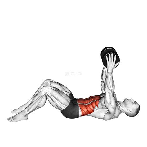 Abdominales con torsión de brazo recto con mancuernas Guía en Video