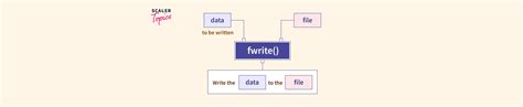 Fwrite Function In C Scaler Topics
