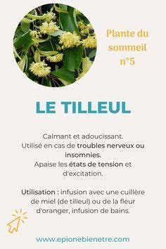 5 plantes du sommeil à découvrir Epione Bien être Plantes