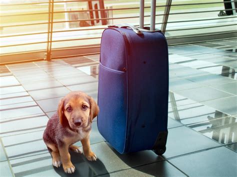 5 astuces infaillibles pour prévenir et guérir les problèmes de