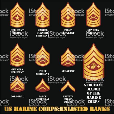 The Insignia Of Enlisted Ranks In The Us Marine Corps Us Marine Corps Marine Corps Marine