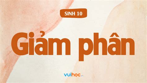 Bài 19 Sinh 10 VUIHOC Quá trình giảm phân trọn bộ lý thuyết và bài tập