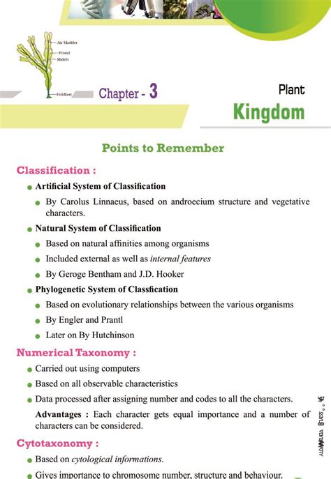 CBSE Notes Class 11 Biology Plant Kingdom