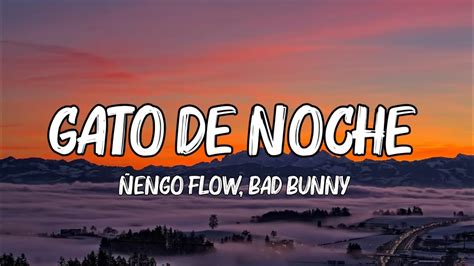 Engo Flow Bad Bunny Gato De Noche Letra Lyrics Youtube