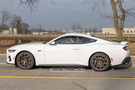 White Mustang Bronze Wheels