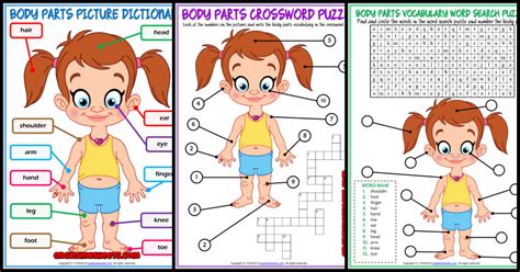 Parts Of The Body Esl Worksheet