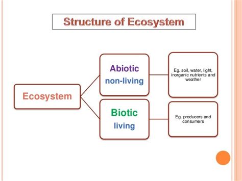 structure of ecosystem