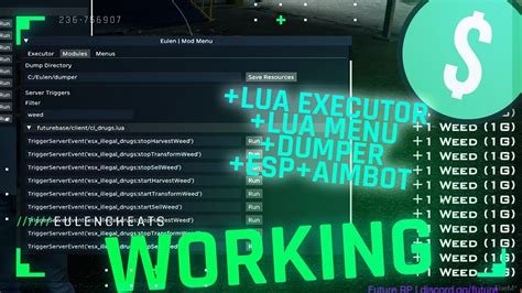 fivem cheat lua executor working lua menu eulen menu internal with esp aimbot undetected