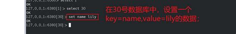 redis入门六：redis常用命令；（select、set、get、keys、dbsize、exists、del、expire、ttl） redis dbsize csdn博客