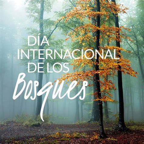 389 Me Gusta 5 Comentarios CuerpoMente Revistacuerpomente En