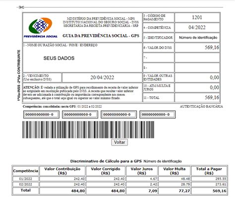 Gerar Guia Do INSS Como Emitir E Pagar