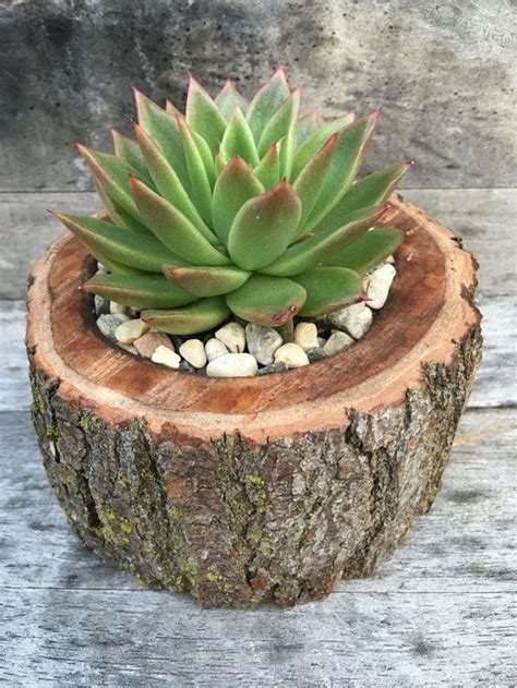 Diy Rustic Wood Planter Box Ideas For Your Amazing Garden 17 Best Diy Ideas