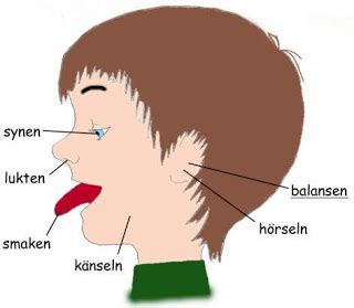 Skolbanken Kroppen K