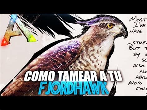 COMO TAMEAR A TU FJORDHAWK Guia Español Ark Survival Evolved