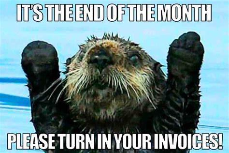 Best End Of The Month Memes To Finish Well With A Lol