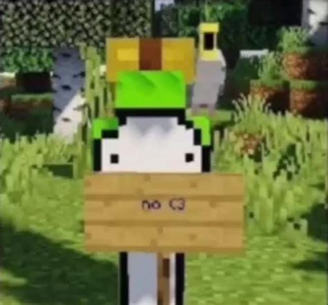 Coin Bank Wiki Furry Adopts Amino
