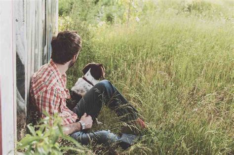 Quels Sont Les Meilleurs Chiens De Compagnie Guide Chat Et Chien