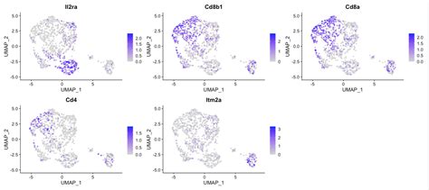 Hands On Filter Plot And Explore Single Cell RNA Seq Data With