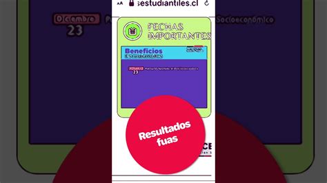 Resultados FUAS 2021 Nivel Socioeconómico YouTube