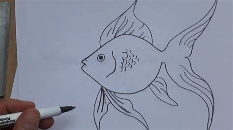 COMO DESENHAR UM PEIXE Super Facil Passo A Passo YouTube