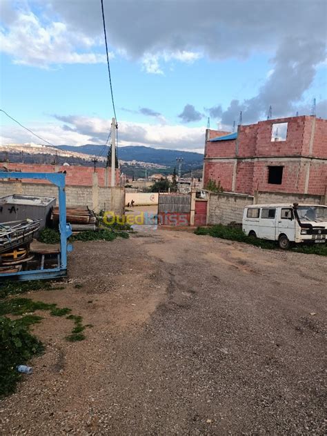 Location Hangar Constantine Hamma Bouziane Constantine Alg Rie