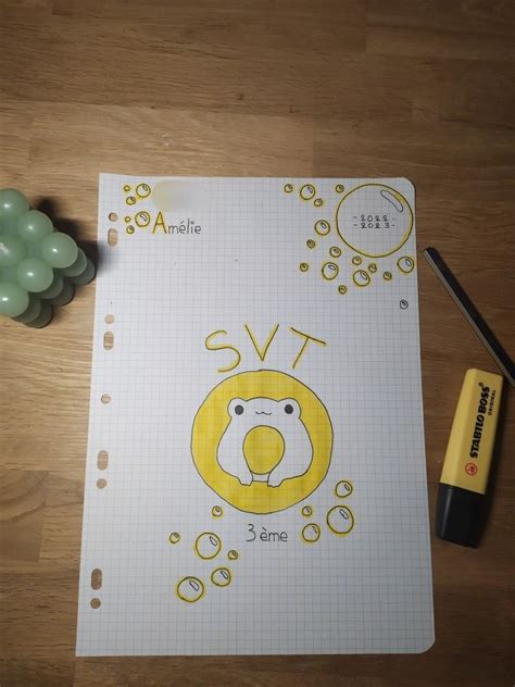 Ma Page De Garde D SVT Zou Lorette Nausicaa School Diy Kawaii