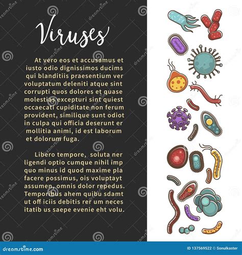 Viruses And Bacteria Information Poster For Medical Healthcare