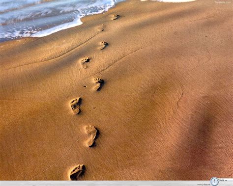 Jejak Kaki Di Pasir Footprints In The Sand