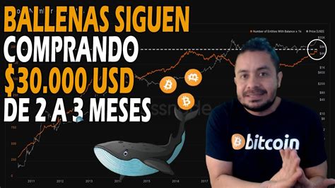 OSOS VENDEN BITCOIN Y BALLENAS COMPRAN DEBES SABER ESTO De 2021