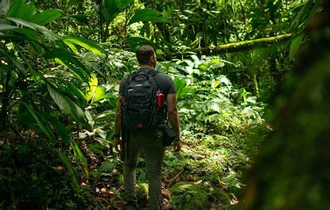 Qué es el ecoturismo y sus características La noticia antes que nadie