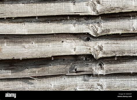 Arboreal Texture Hi Res Stock Photography And Images Alamy