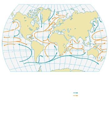 D Crypter Imagen Carte Des Courants Marins Fr Thptnganamst Edu Vn