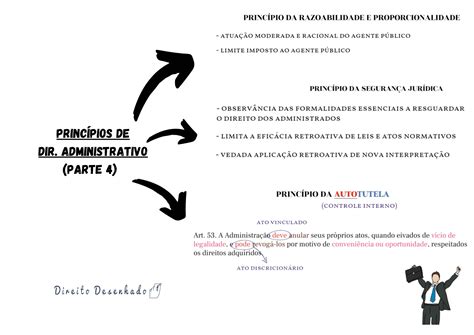 Princípios de Direito Administrativo Resumo Completo