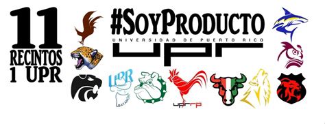 Mejores Universidades Para Estudiar Biología En Puerto Rico