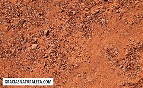 Suelo limoso Qué es Características Propiedades y Usos