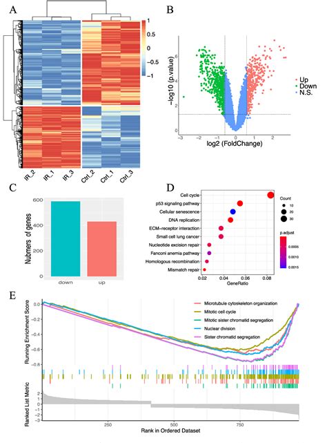 Figure 1 From MMP14 Contributes To HDAC Inhibition Induced