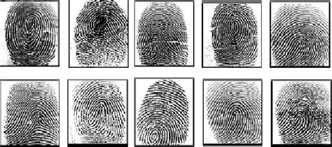 table 2 from fingerprint based gender identification using frequency domain analysis semantic