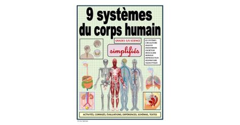Syst Mes Du Corps Humain Simplifi S Grades