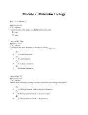 Module 7 Quiz Docx Module 7 Molecular Biology Part 1 Of 1 Module 7