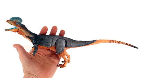 Dilophosaurus Wetherilli Th Scale Action Figure Welcome To