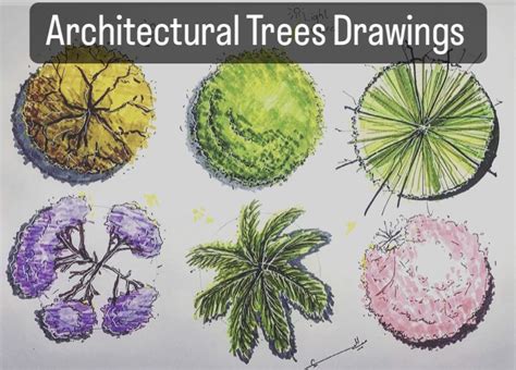 Tips For Drawing Trees In Architectural Drawings And Sketchs With